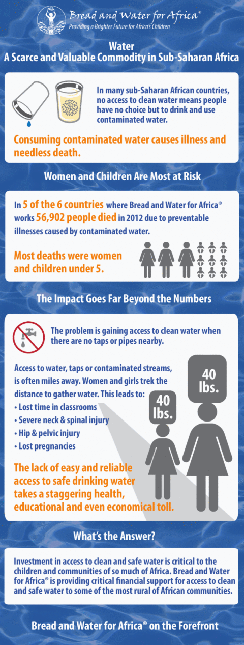 Learn More about Water Scarcity and Water Health in Sub-Saharan Africa ...