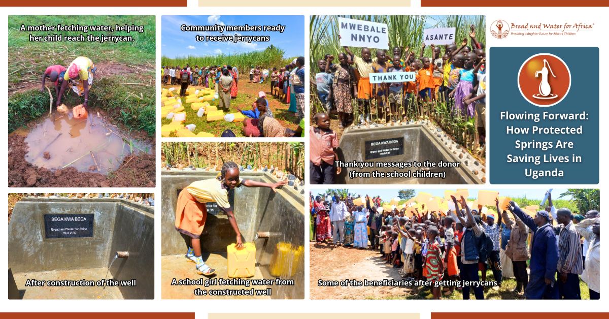 Flowing Forward: How Protected Springs Are Saving Lives in Uganda ...